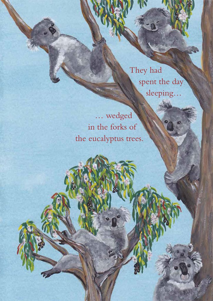 Koala Kids' Story Book | Fuzzy the Koala - Wildlife Children's Book